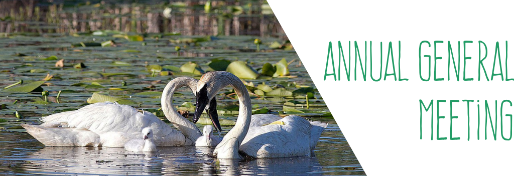 Welcome to Wye Marsh Wildlife Centre