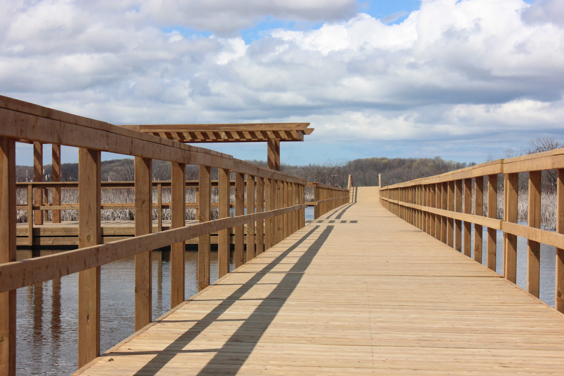 Boardwalk Project 2016