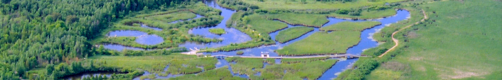 Research Objectives at Wye Marsh Conservation Wetland