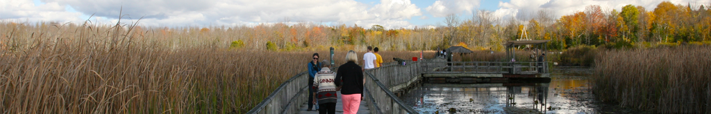 Groups and Tours | Experience Wye Marsh