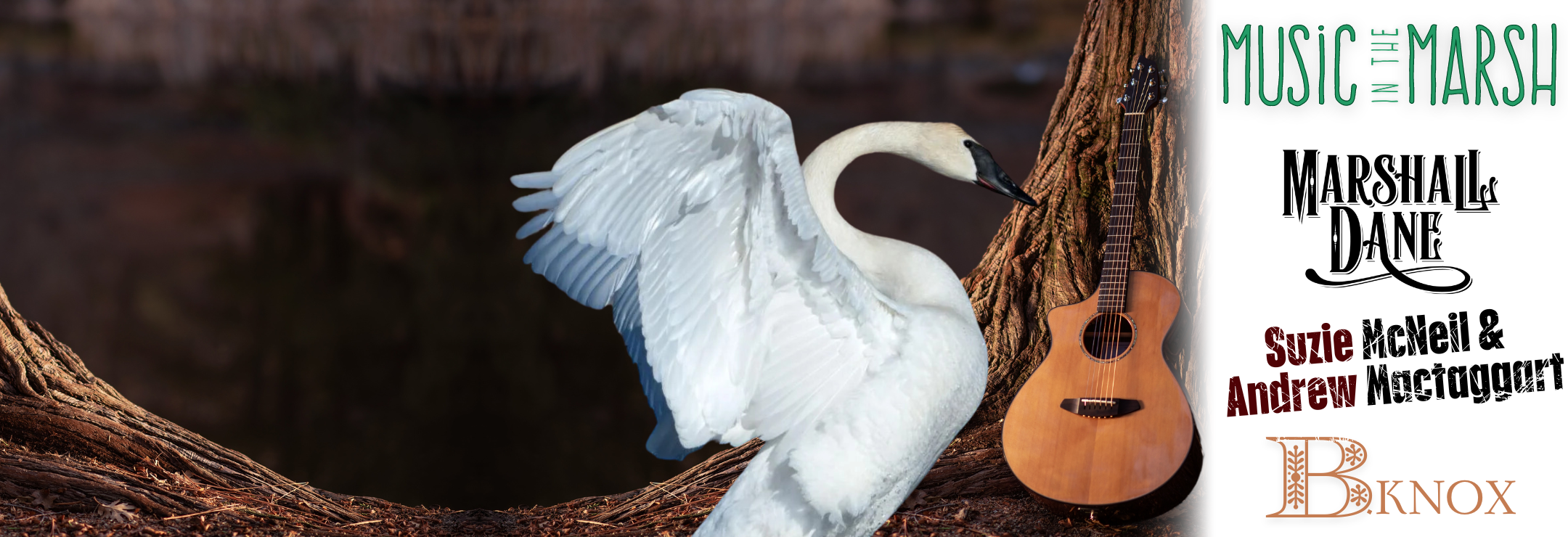 Welcome to Wye Marsh Wildlife Centre