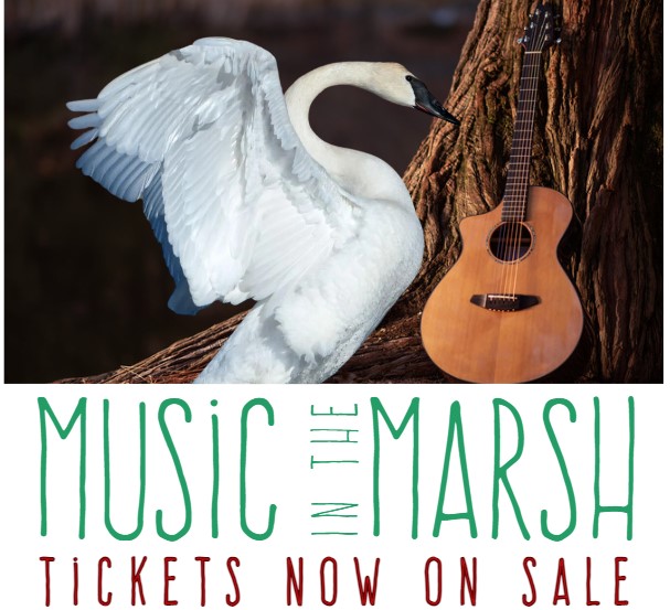 Welcome to Wye Marsh Wildlife Centre