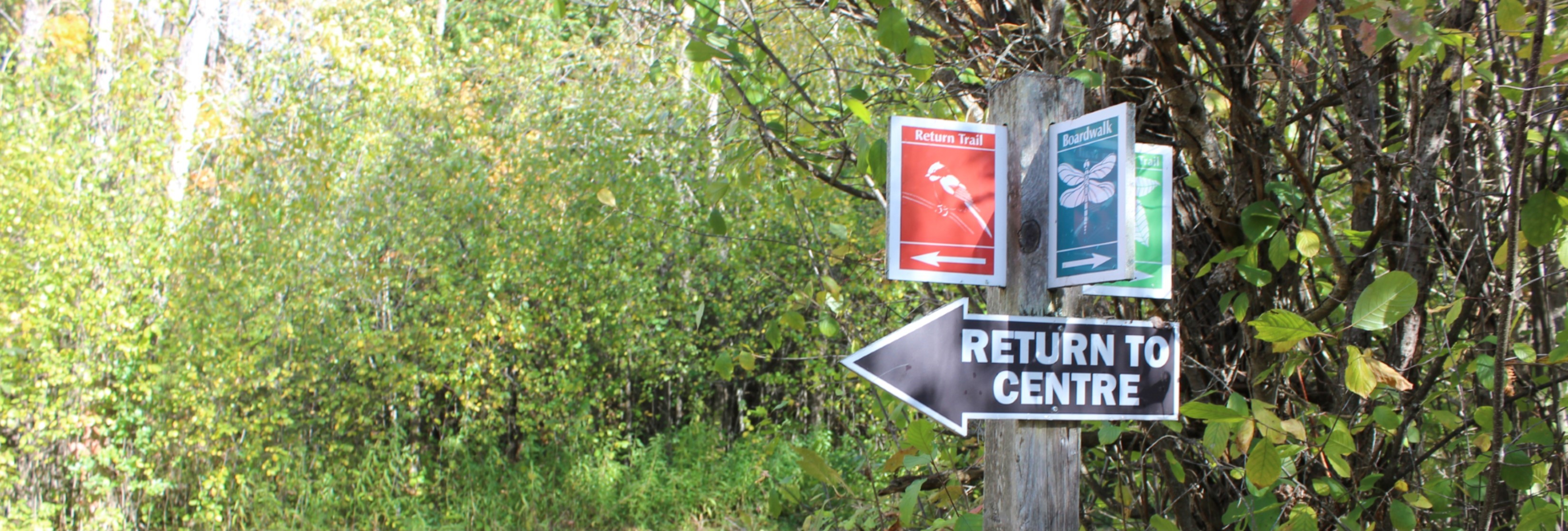 Welcome to Wye Marsh Wildlife Centre