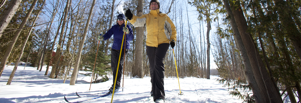 Welcome to Wye Marsh Wildlife Centre