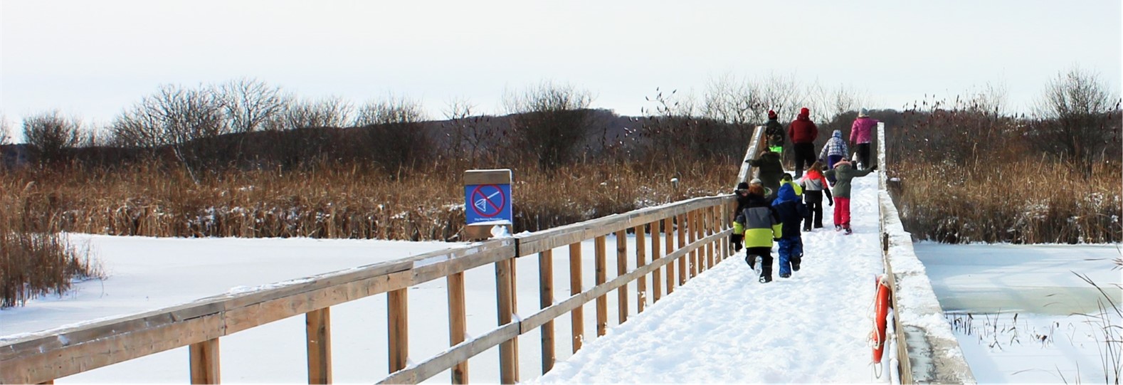 Welcome to Wye Marsh Wildlife Centre