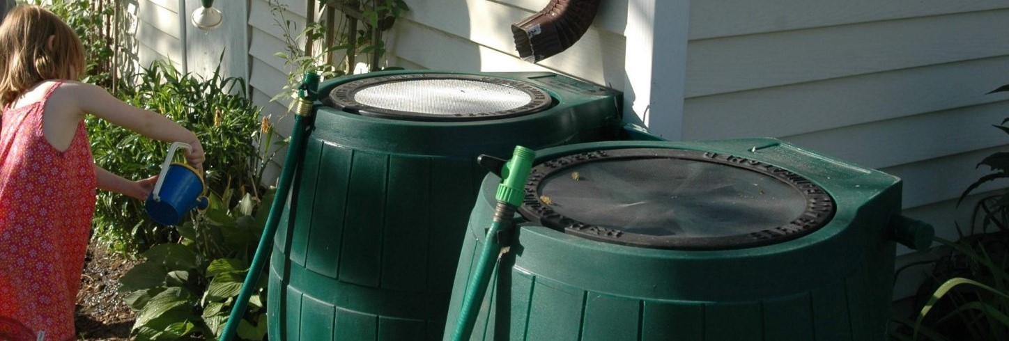 Welcome to Wye Marsh Wildlife Centre