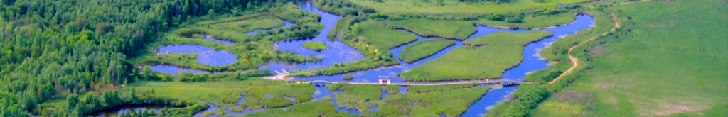 Meetings and Special Occasions at Wye Marsh Nature Reserve